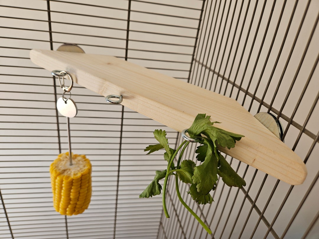 Pet Cage Corner Ledge & Hooks (30cm) - Accessories, Kiln-dried, Natural ...