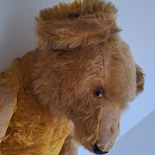Antique Teddy - Etsy