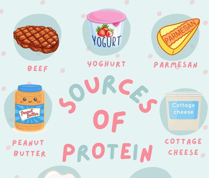 Protein Sources Educational Poster Children's Poster - Etsy