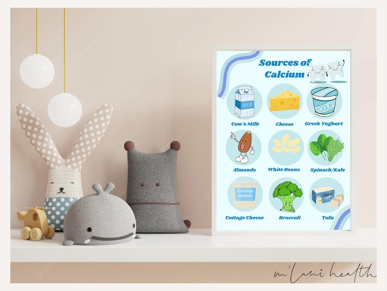 Calcium Sources Educational Poster Children's Poster - Etsy