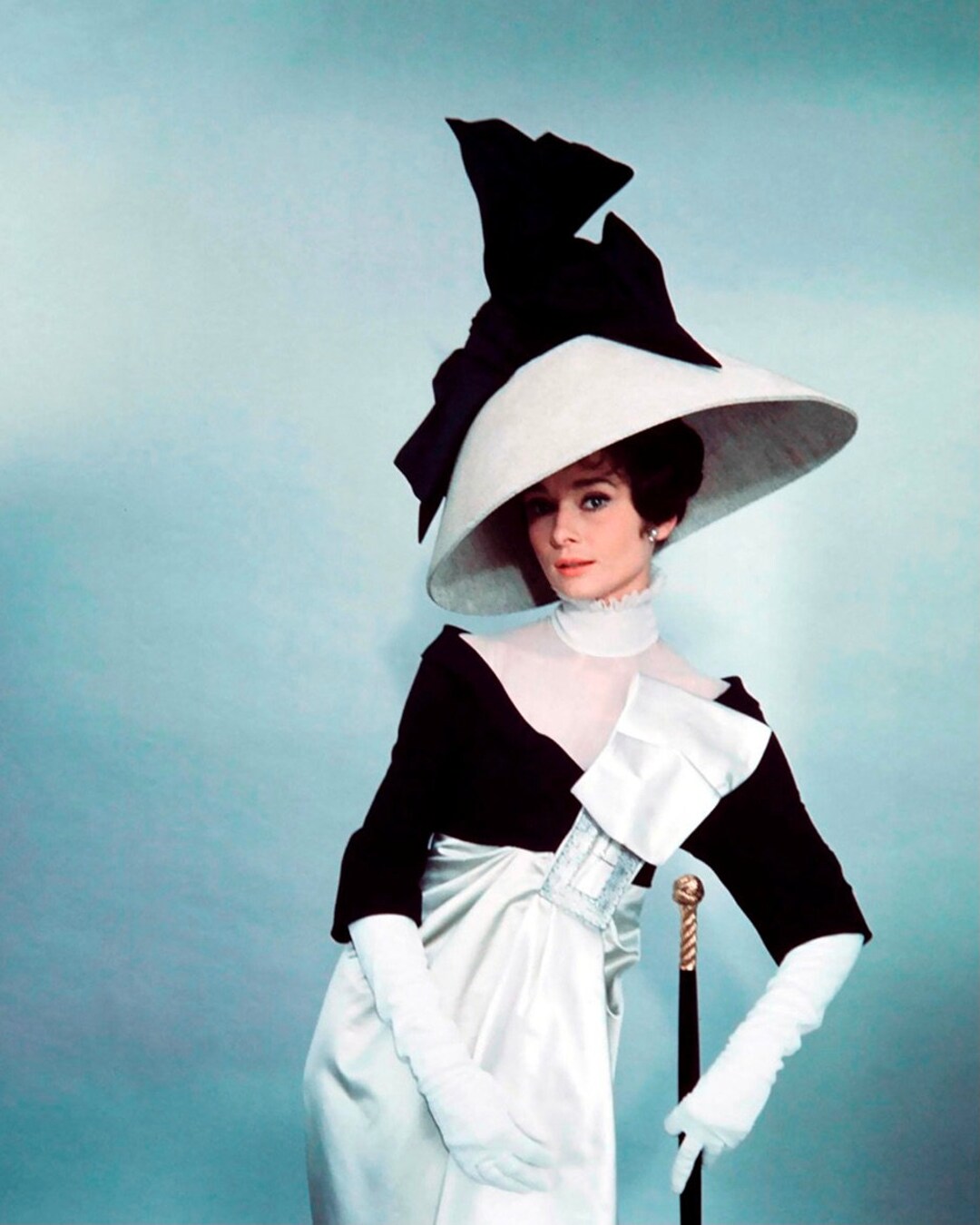 Audrey Hepburn 8x10 Photo Picture Image Color Movie Cinema Classical ...