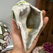 Mosaic Conch Shell Shell Decor Beach Lover Home Decor Unique Conch and ...