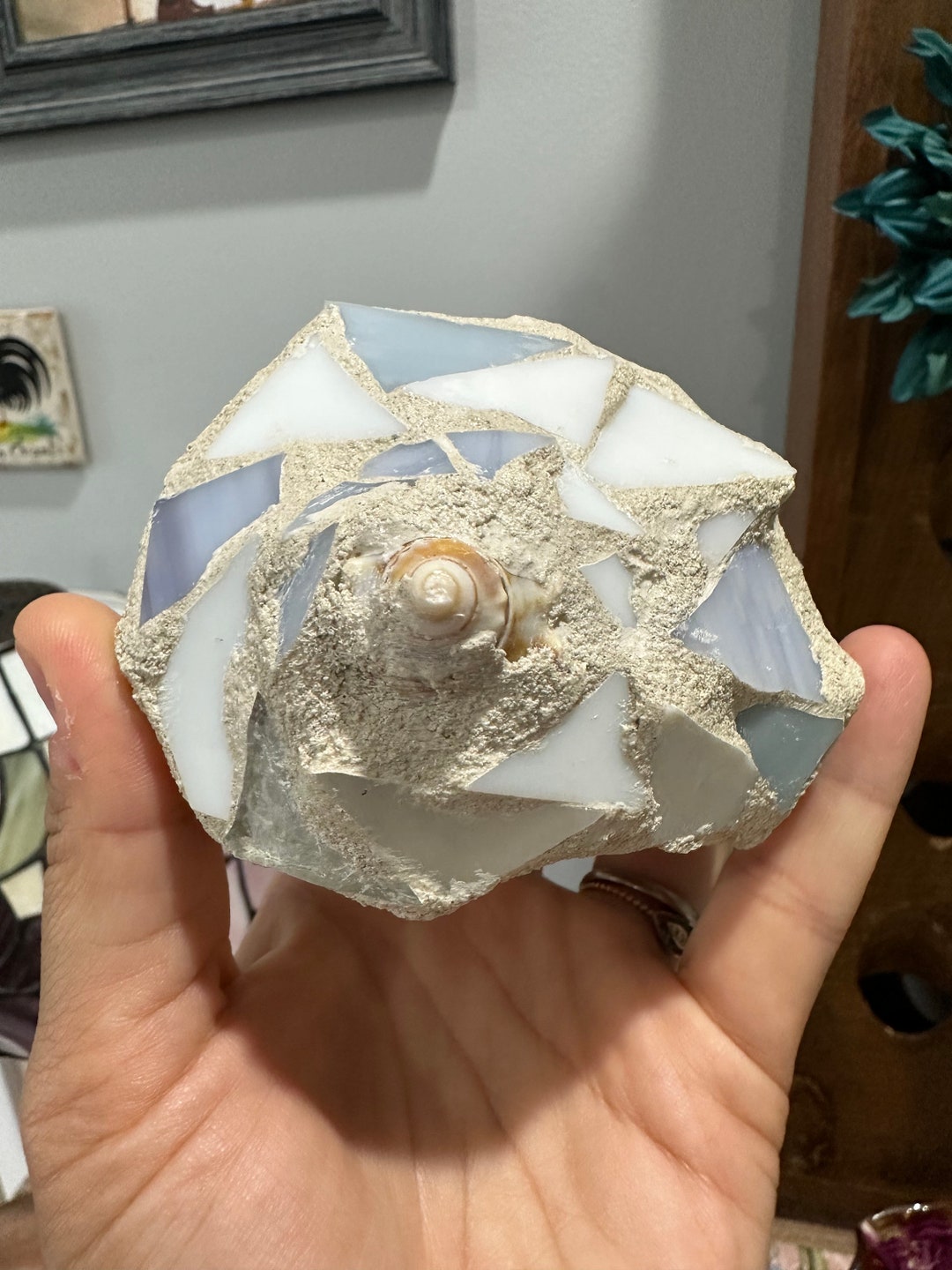 Mosaic Conch Shell - Shell Decor - Beach Lover Home Decor - Unique ...