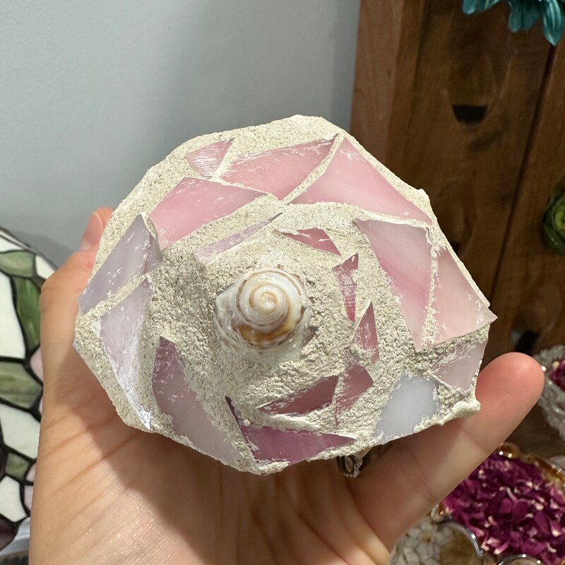 Mosaic Shells - Etsy