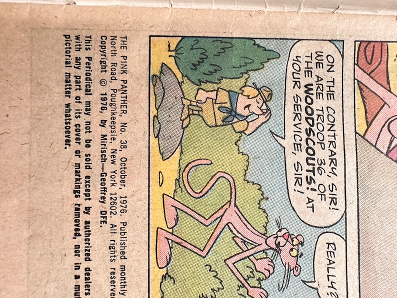 FRAMED Pink Panther Pool Sericel by Fritz Freleng With Seal of ...