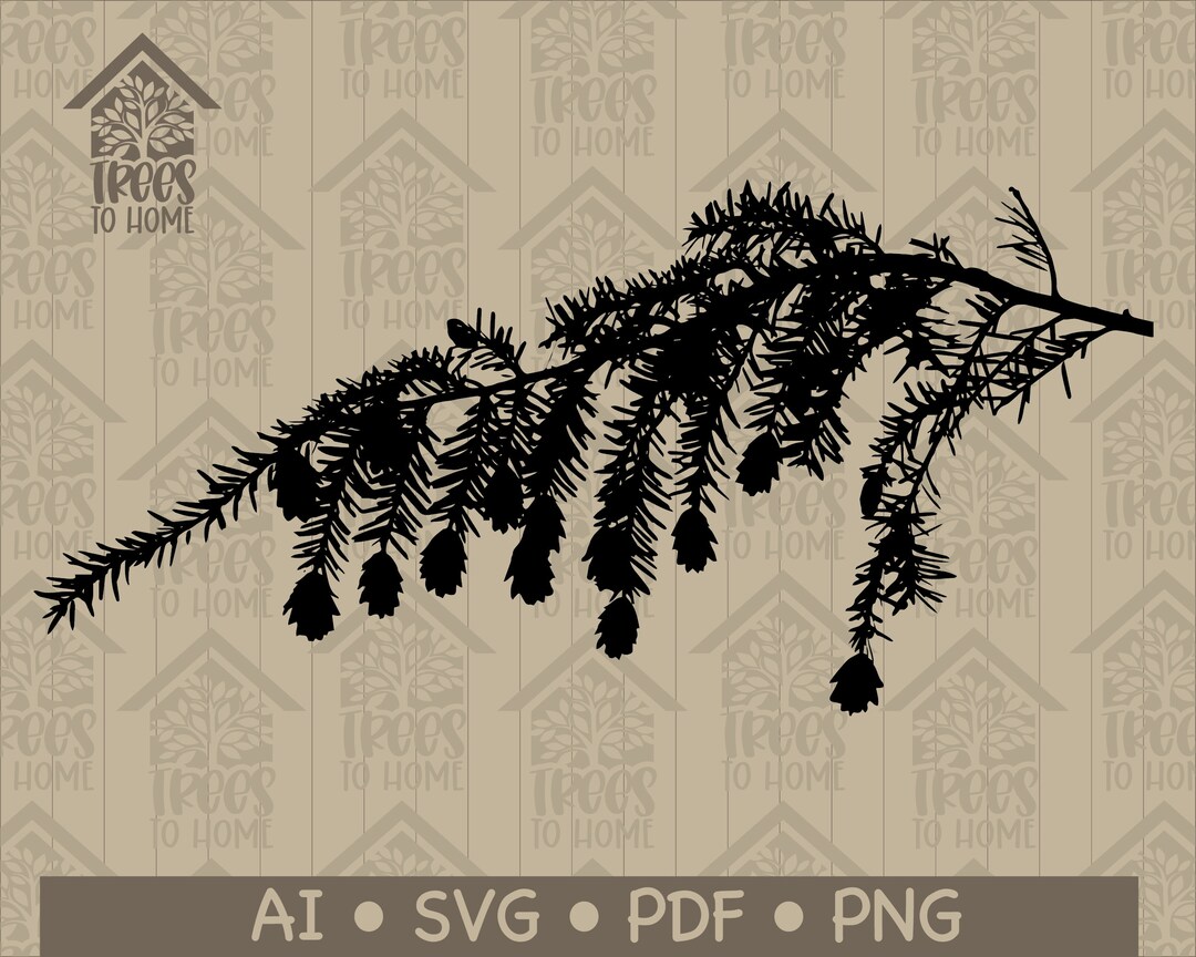 Pine Branch With Cones Silhouette Forest Pine Tree Silhouette Pine Tree ...