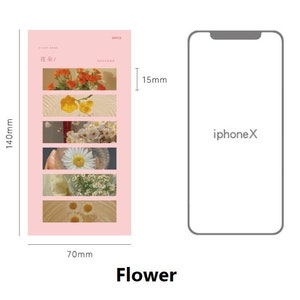 Beautiful Scenery Series Sticky Notes, Daisy Flower/ocean/fireworks ...