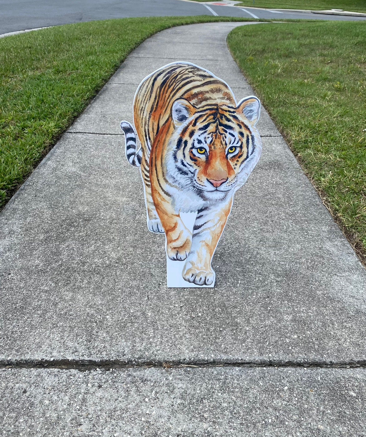 Tiger Safari Standee Prop Party Decorations - Etsy