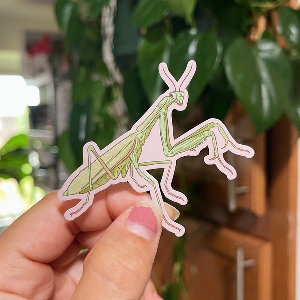 Praying Mantis - Etsy