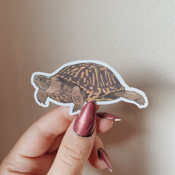 Turtle Stickers - Etsy