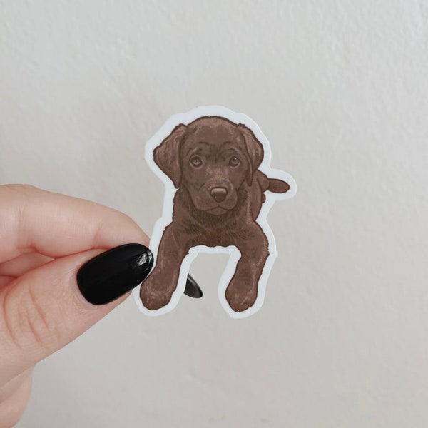 Chocolate Lab - Etsy