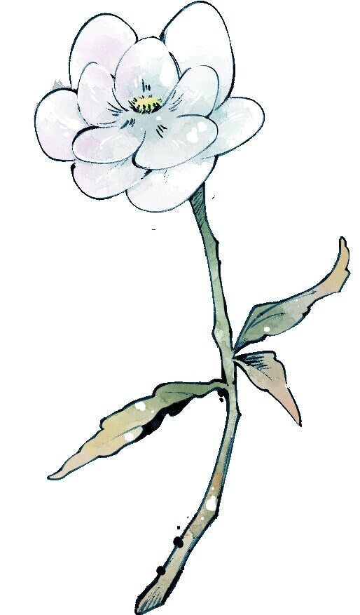 HOLOGRAPHIC Sticker - Elpis Flower - Etsy