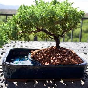 Set of 10 Sedona Vortex Marbles, Cathedral Rock Vortex, Shaman Stones ...