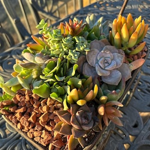 1/2 Lb Sedona Vortex Charged Red Rocks, Raw Gemstone, Cathedral Rock ...