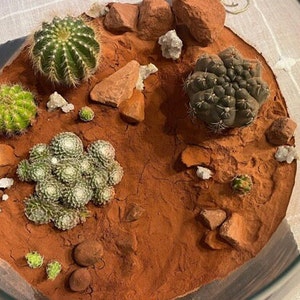 Set of 10 Sedona Vortex Marbles, Cathedral Rock Vortex, Shaman Stones ...