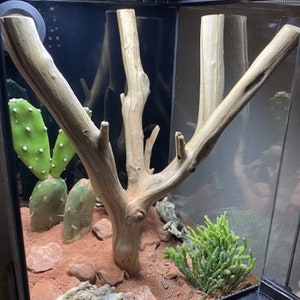 1/2 Lb Sedona Vortex Charged Red Rocks, Raw Gemstone, Cathedral Rock ...