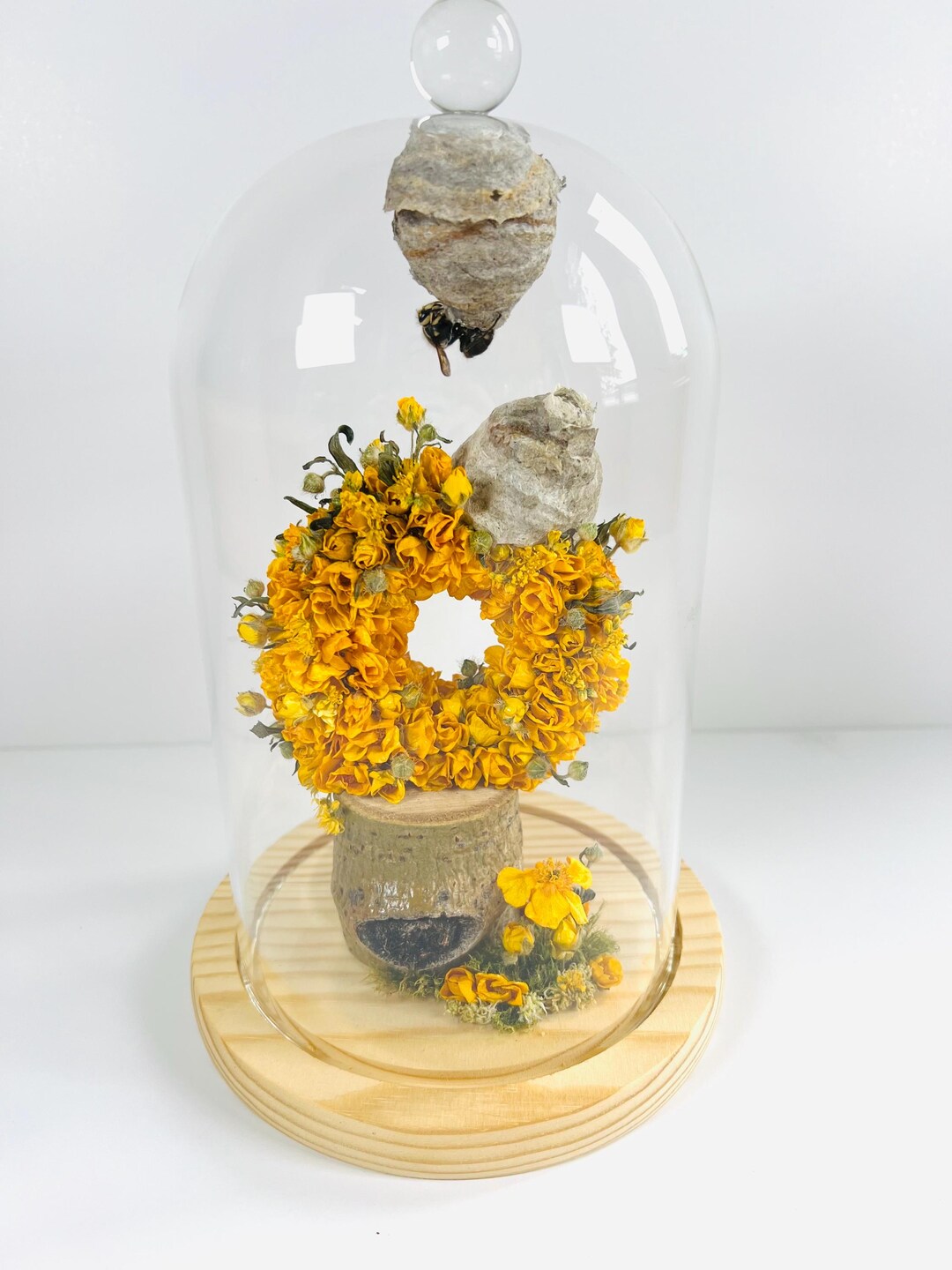 Real Dried Buttercup Flowers With Wasp and Nest on Wood - Etsy