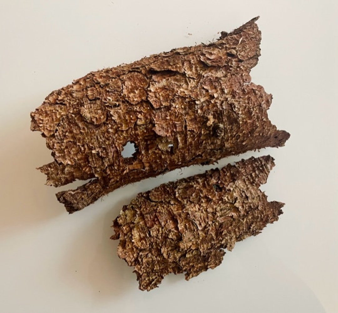 2 Pieces of Bark Bark, Natural Wood, Tree Bark Dry, Untreated and Well ...