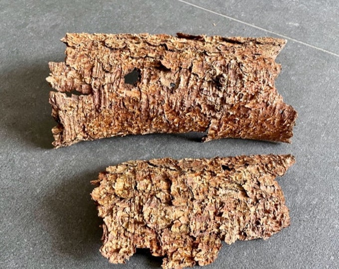 Piece of Bark - Bark, Natural Wood, Tree Bark - Curved, Tunnel, Dry ...