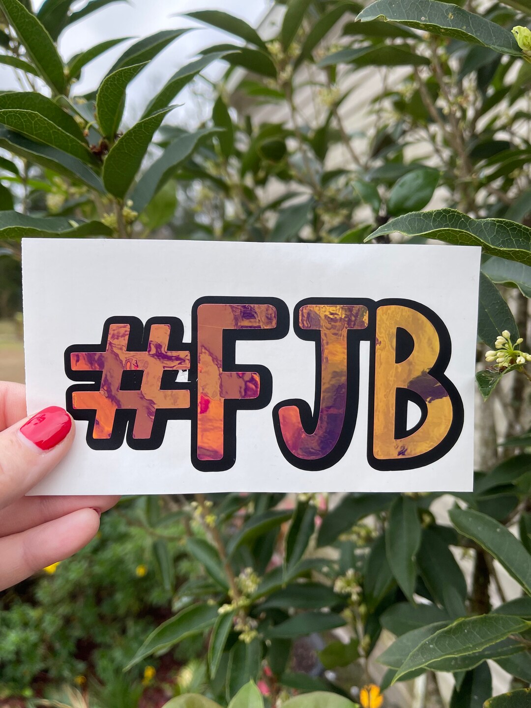 FJB Vinyl Decal FJB Trending Lets Go Brandon Funny Decal - Etsy