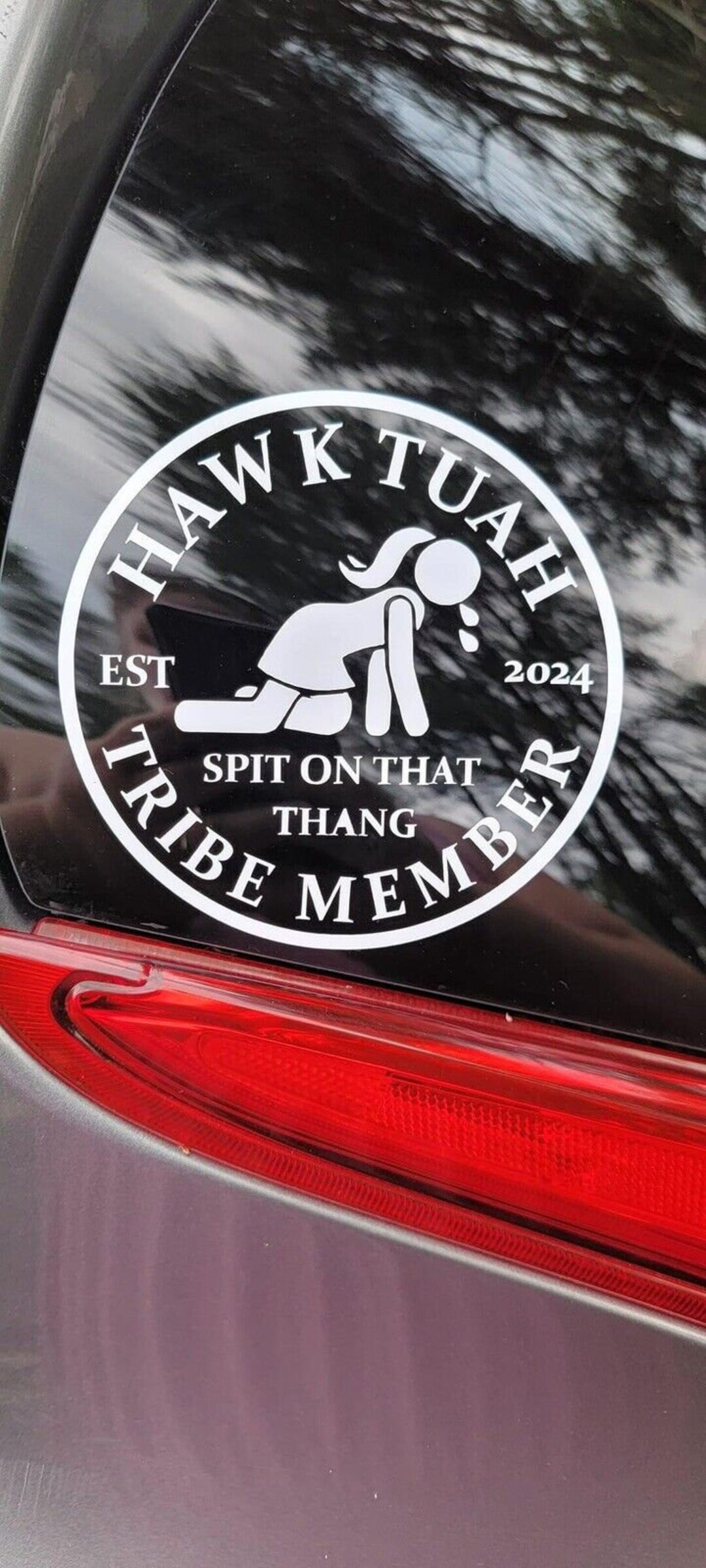 4 Hawk Tuah Vinyl Decal Sticker Car Window Laptop Rude Funny Spit on ...