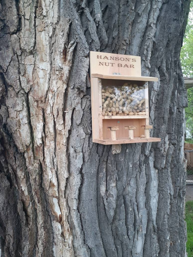 Squirrel Nut Bar Feeder - Etsy