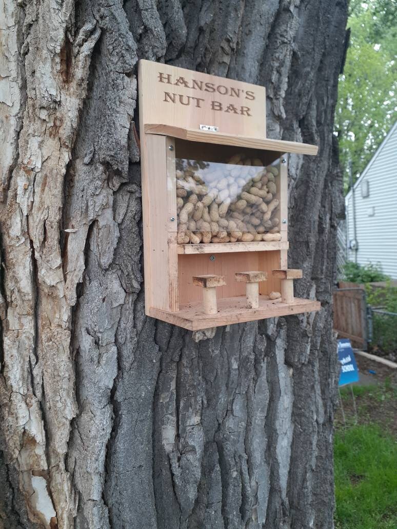 Squirrel Nut Bar Feeder - Etsy