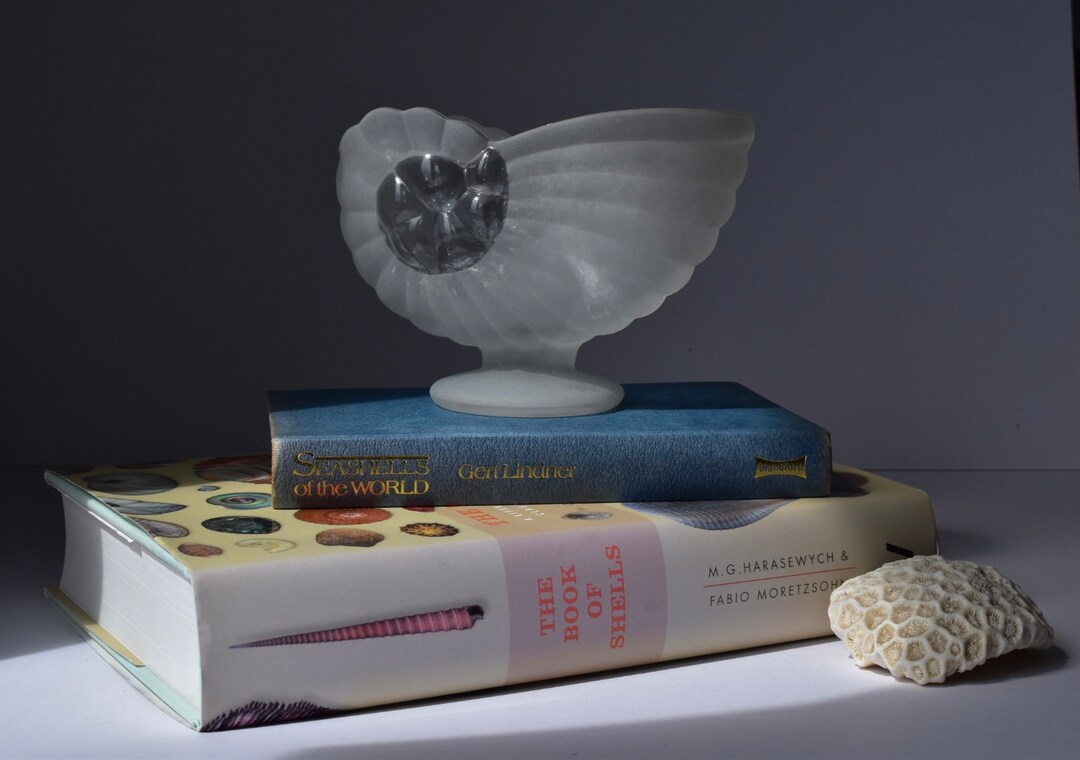 Vintage Glass Sowerby Shell Vase / Clear Glass / Posy Vase / - Etsy