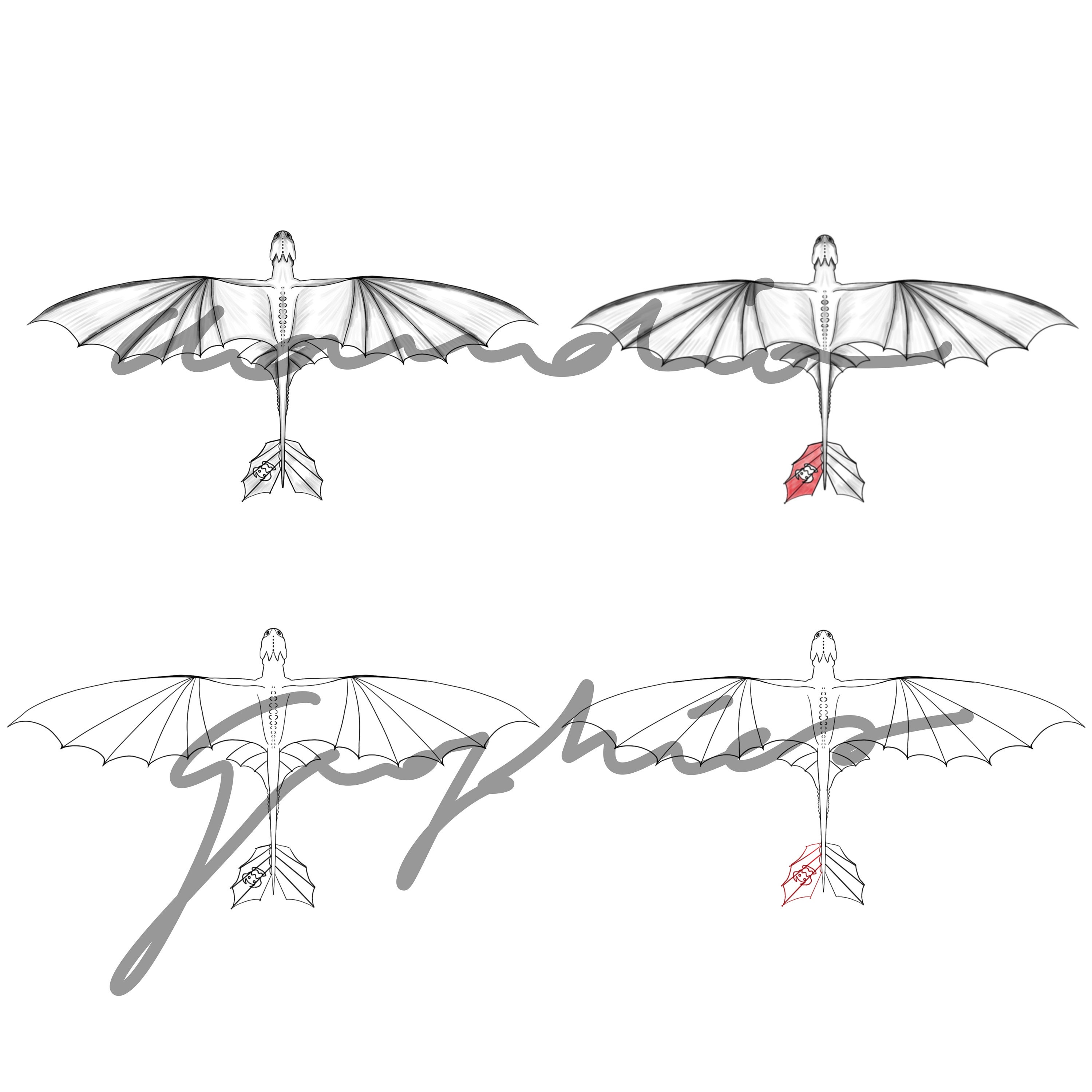 Toothless how to Train Your Dragon Tattoo Design Printable 4 Versions ...