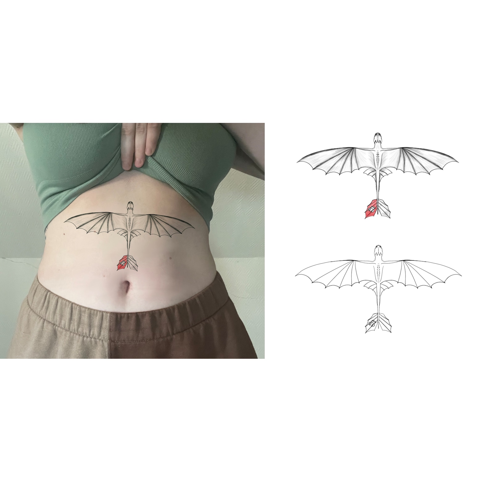 Toothless how to Train Your Dragon Tattoo Design Printable 4 Versions ...