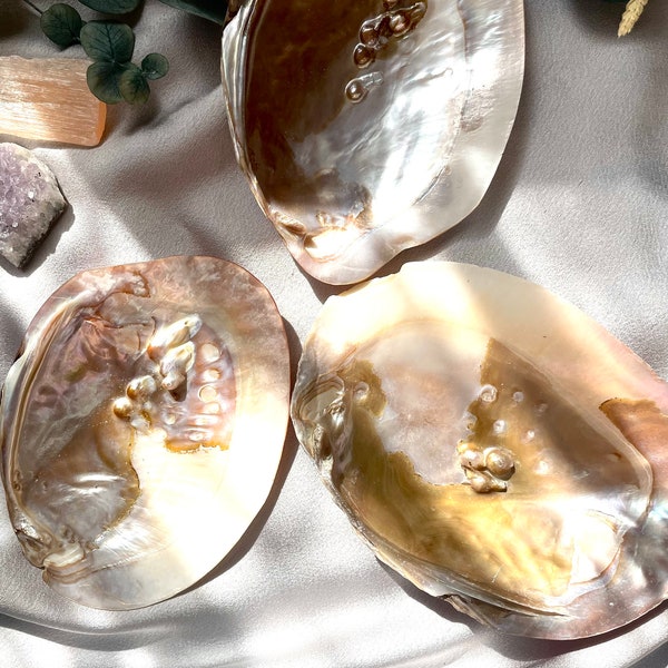 Sea Shell Pearls - Etsy