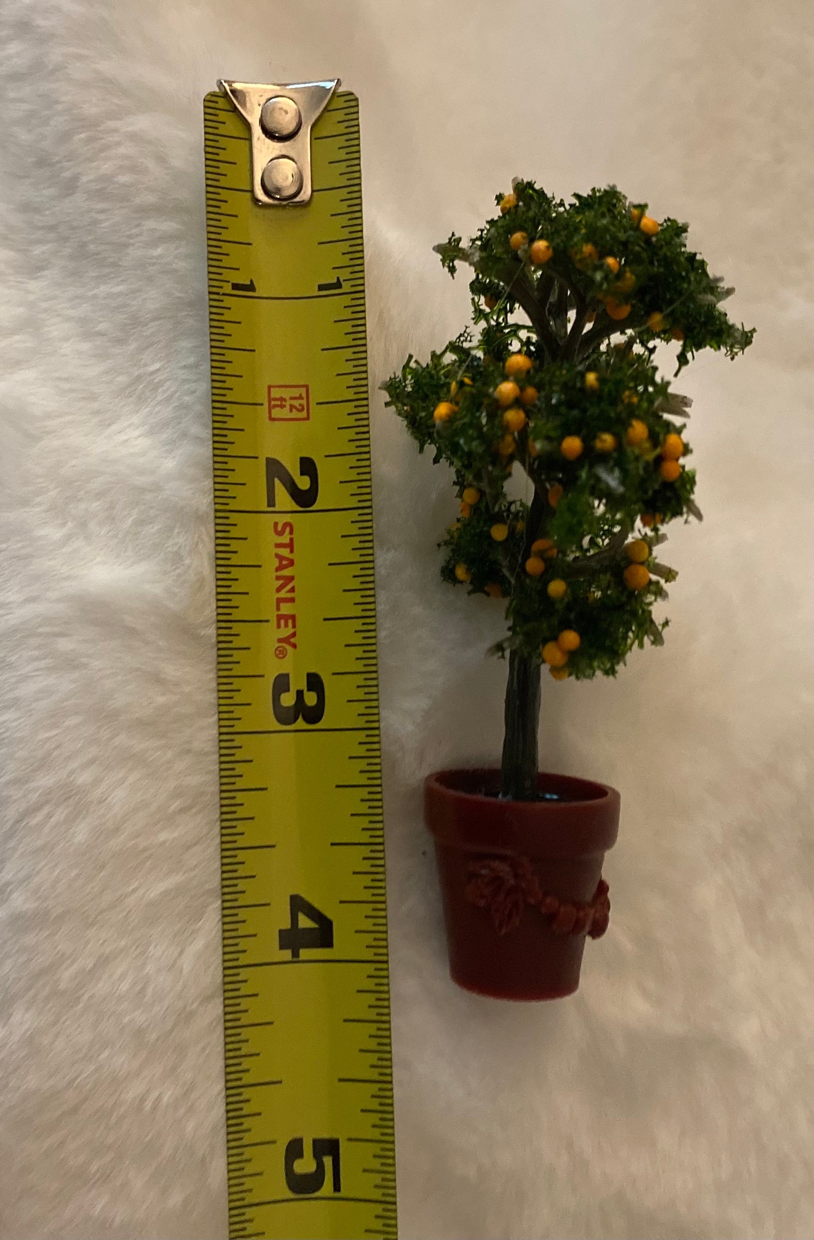 Miniature Orange Tree Small Orange Tree Miniature Tree - Etsy