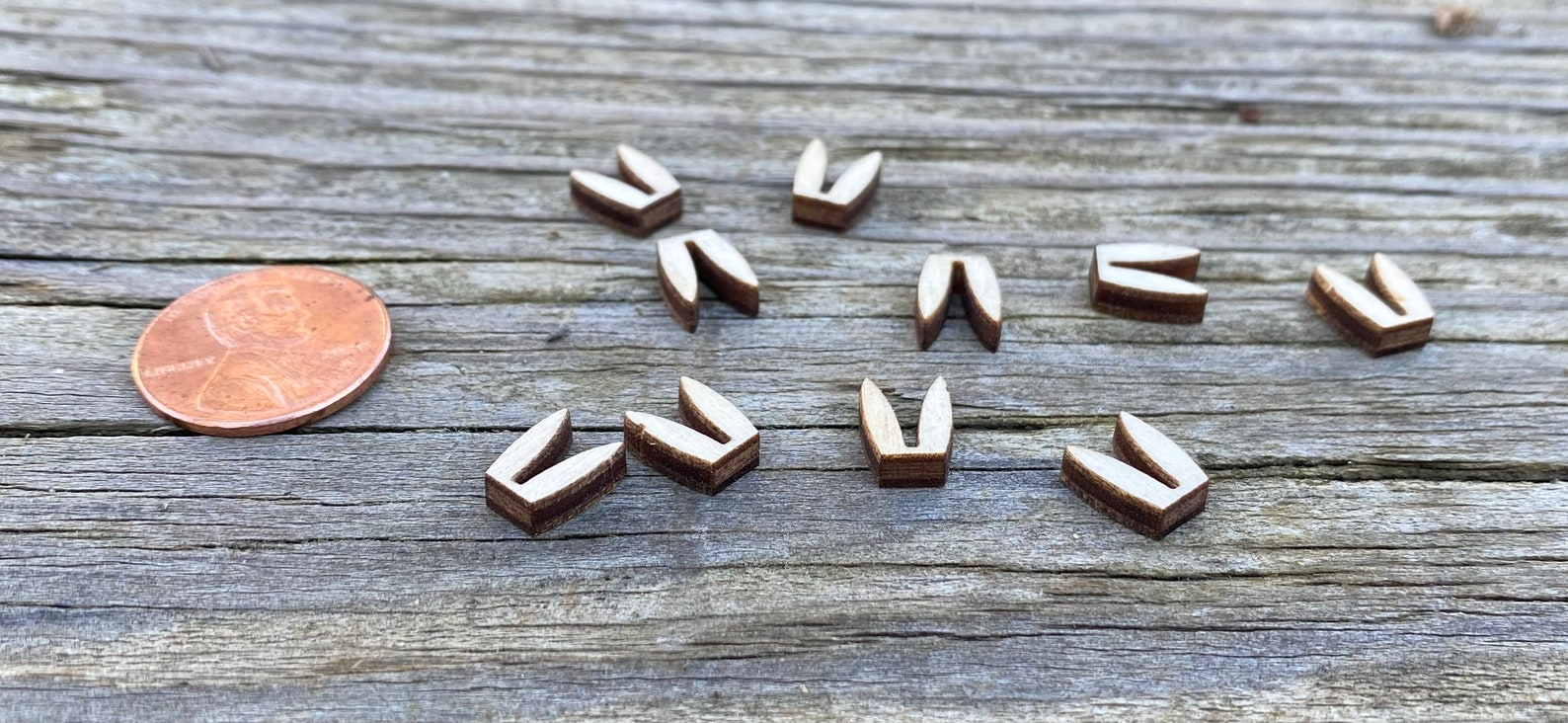 Miniature Bunny Ears, Mini Bunny Ears; Miniature Bunny Ears, Mini Wood ...