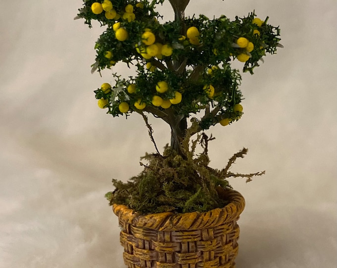Miniature Lemon Tree, Small Lemon Tree, Miniature Tree - Etsy