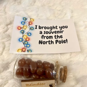 Elf Poop, Santa Poop, OR Reindeer Poop Kit, Single Scene, Elf Prop, Elf ...