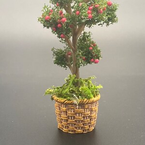 Miniature Apple Tree, Small Apple Tree, Miniature Tree - Etsy