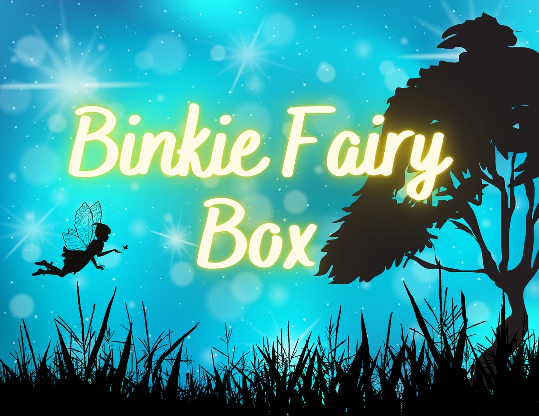 Binky Fairy or Pacifier Fairy Box Kit - Etsy