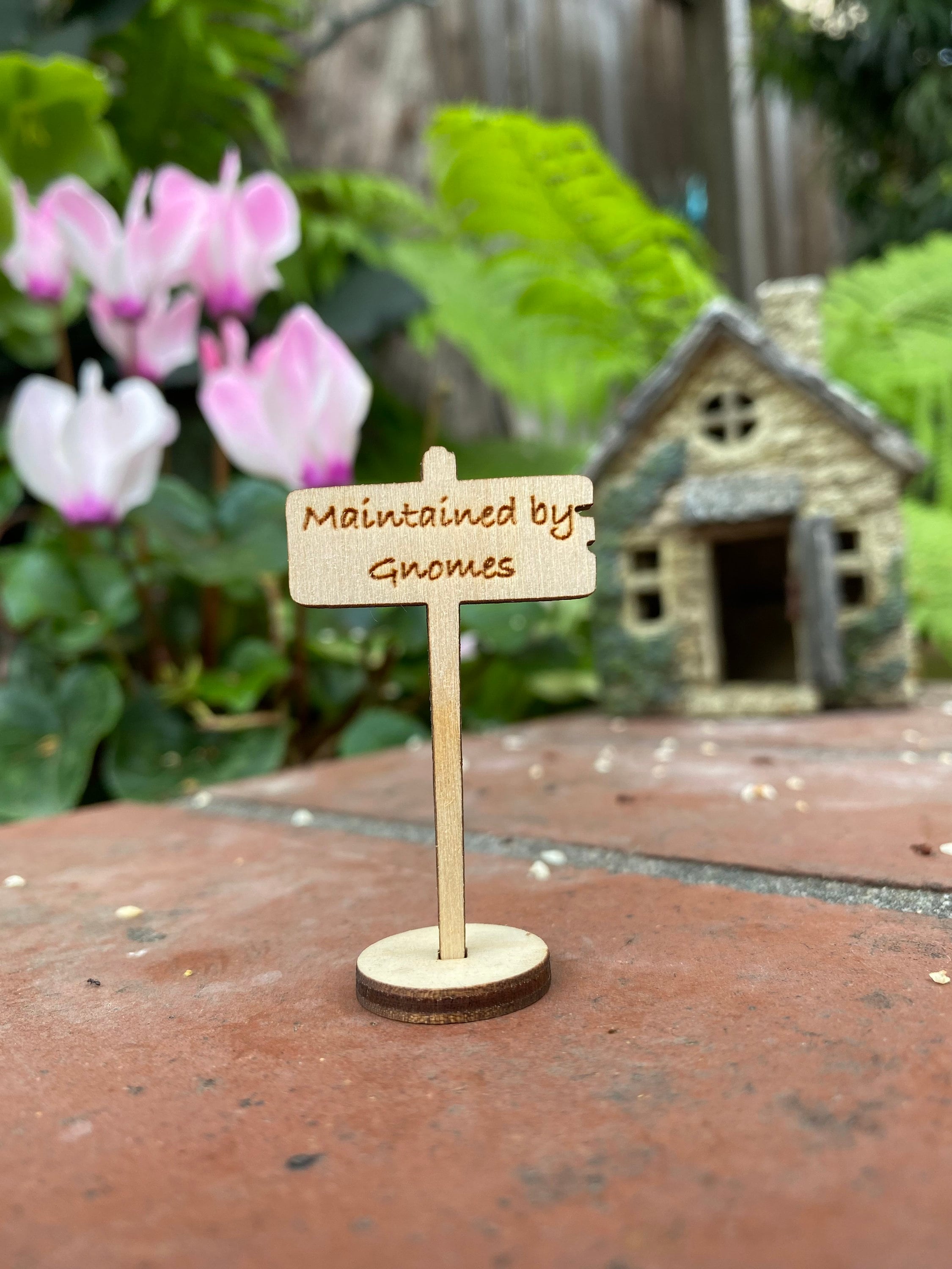 Enchanting Miniature Garden Sign Set of 4; Gnome Garden Signs ...