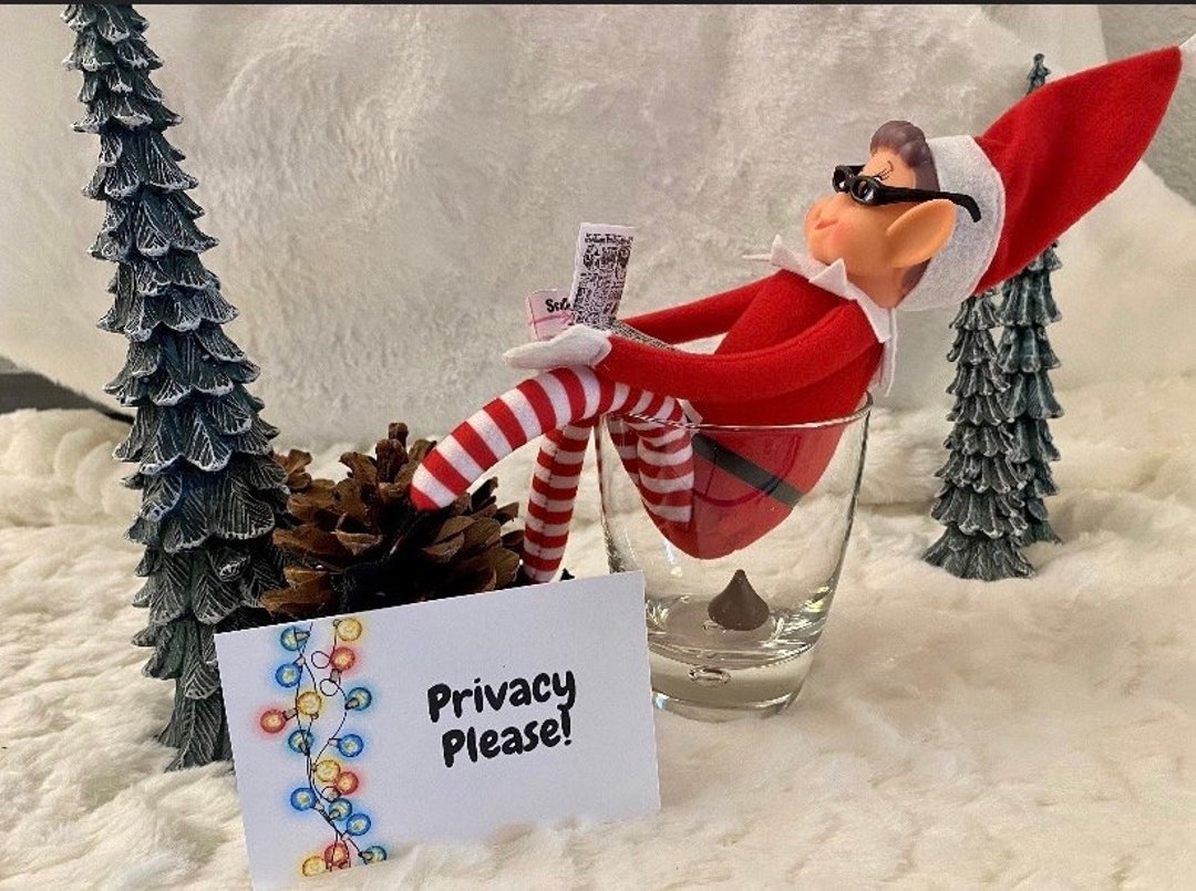 Elf Naughty Elf Scene Kit, Privacy Please, Elf Pooping, Single Scene ...