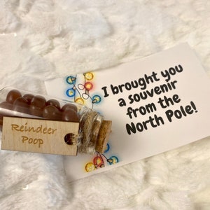 Elf Poop, Santa Poop, OR Reindeer Poop Kit, Single Scene, Elf Prop, Elf ...