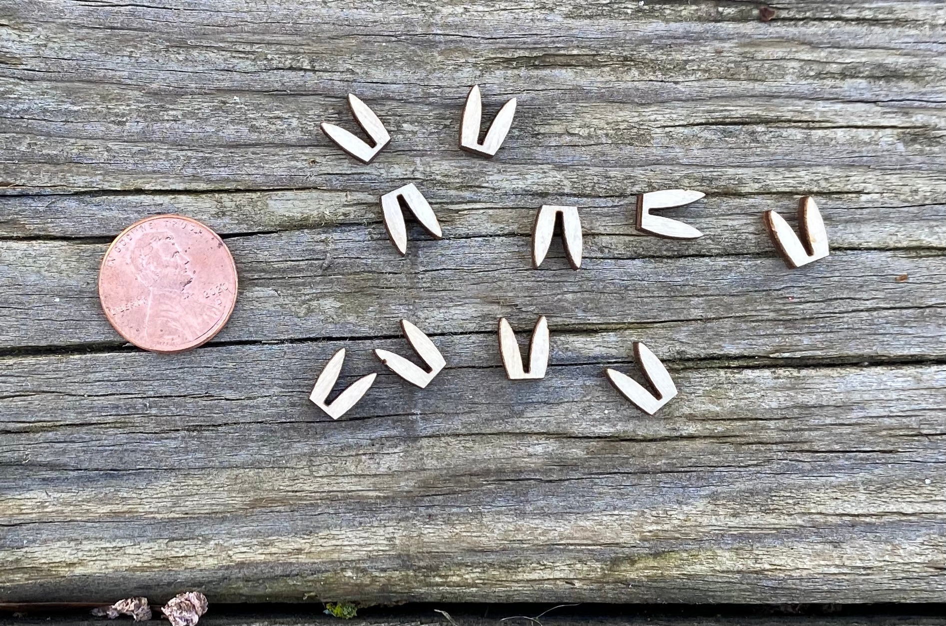Miniature Bunny Ears, Mini Bunny Ears; Miniature Bunny Ears, Mini Wood ...