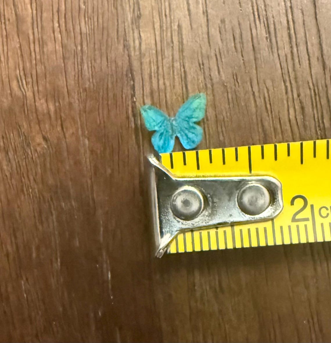 Minature Butterflies, Mini Butterfly - Etsy
