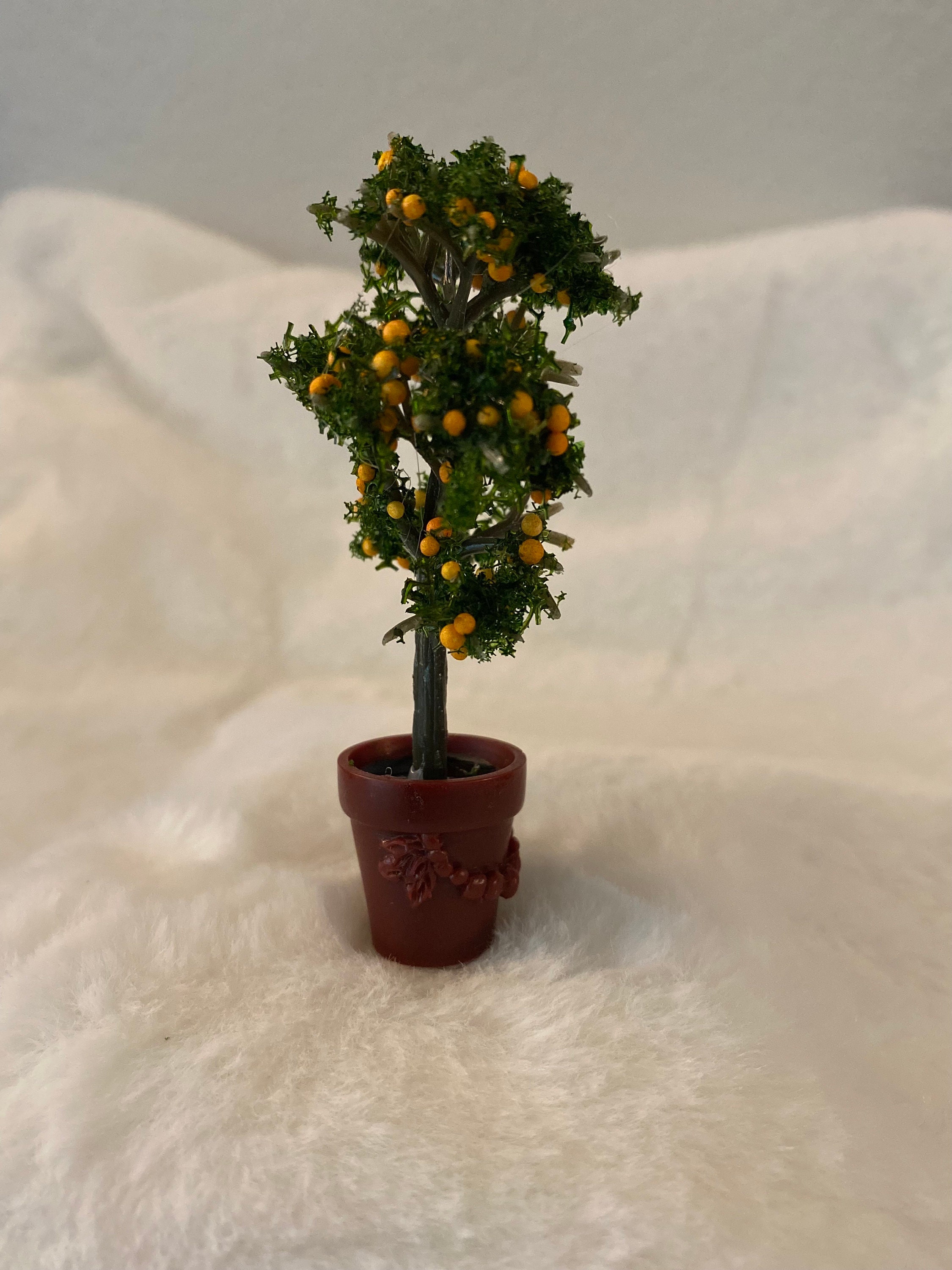 Miniature Orange Tree Small Orange Tree Miniature Tree - Etsy