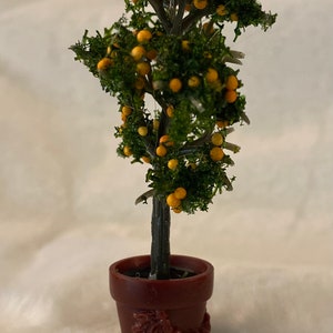 Miniature Orange Tree, Small Orange Tree, Miniature Tree - Etsy
