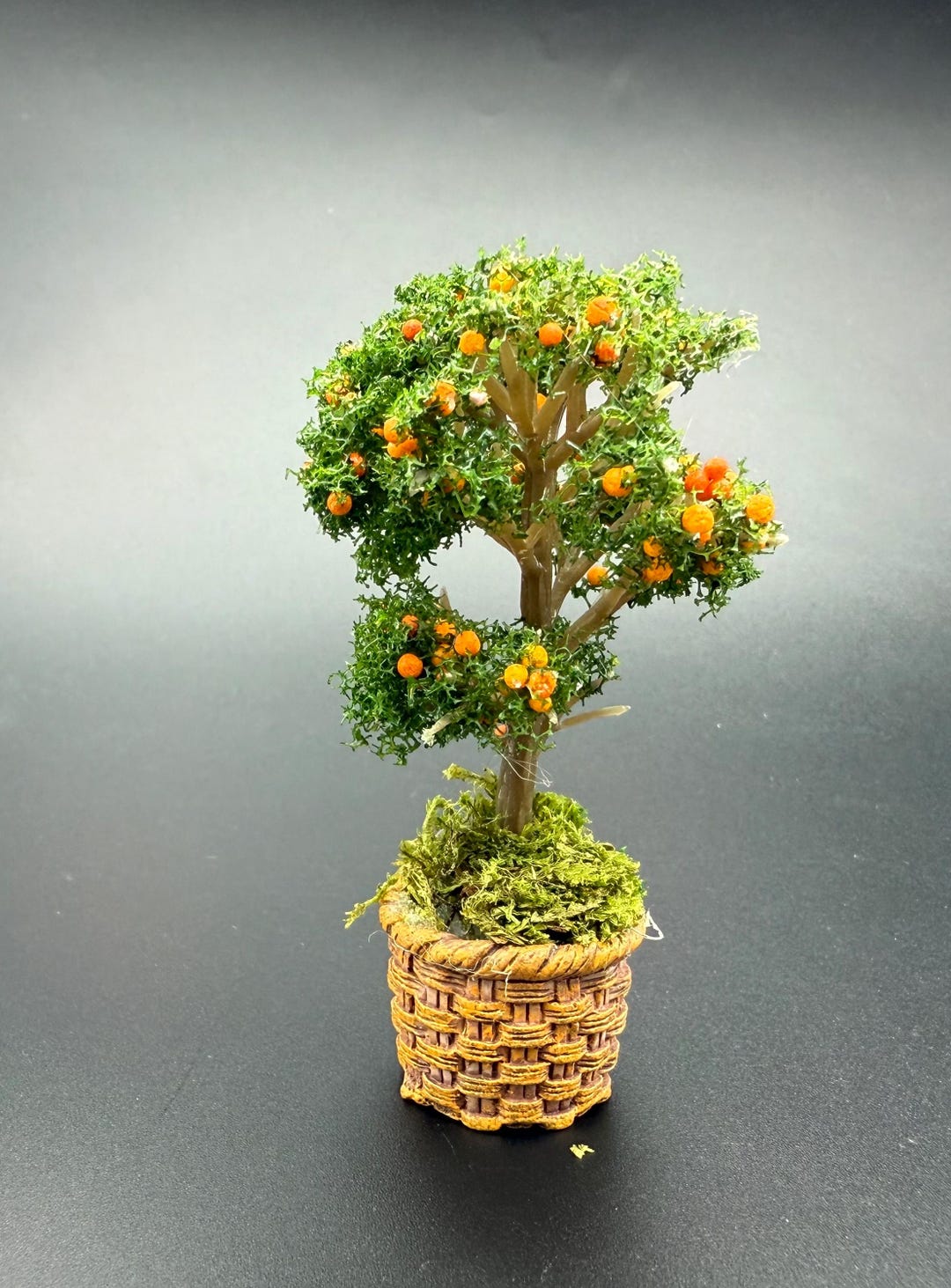 Miniature Orange Tree, Small Orange Tree, Miniature Tree - Etsy