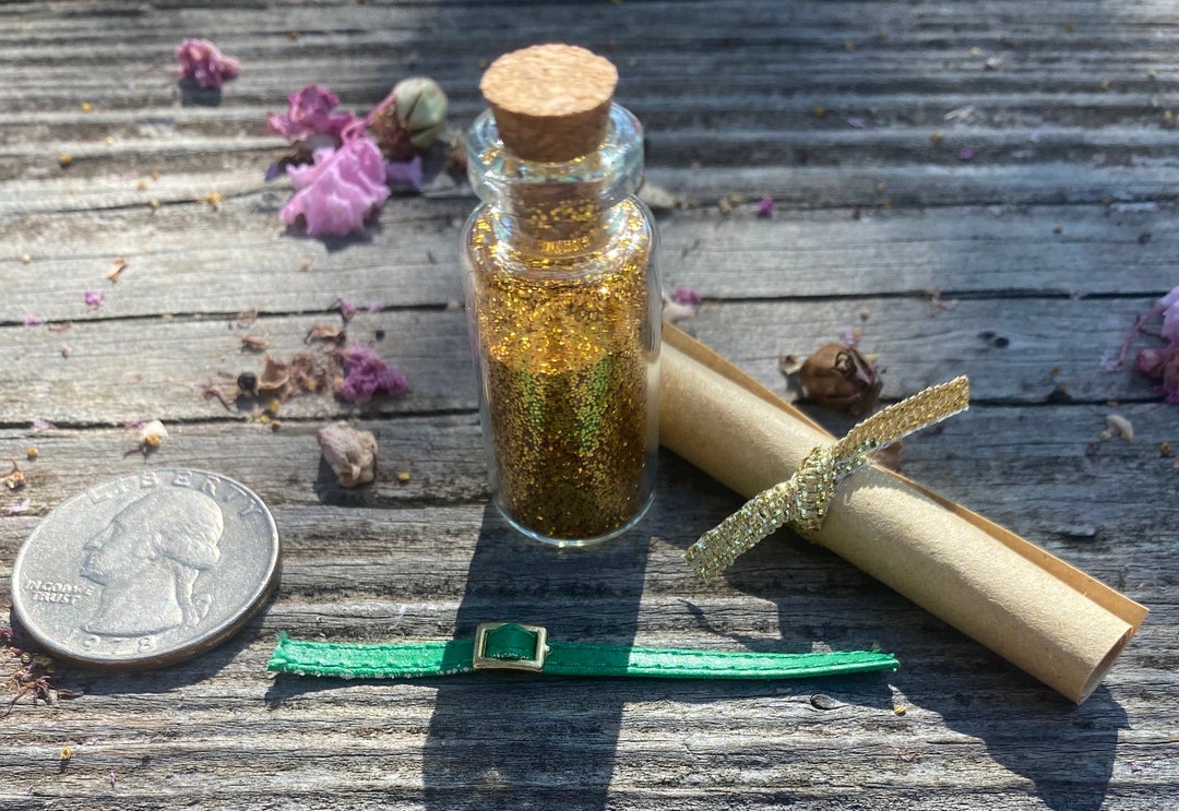 Leprechaun Trap Treasure Trinket Kit, Lucky Lost Belt Leave Behind - Etsy