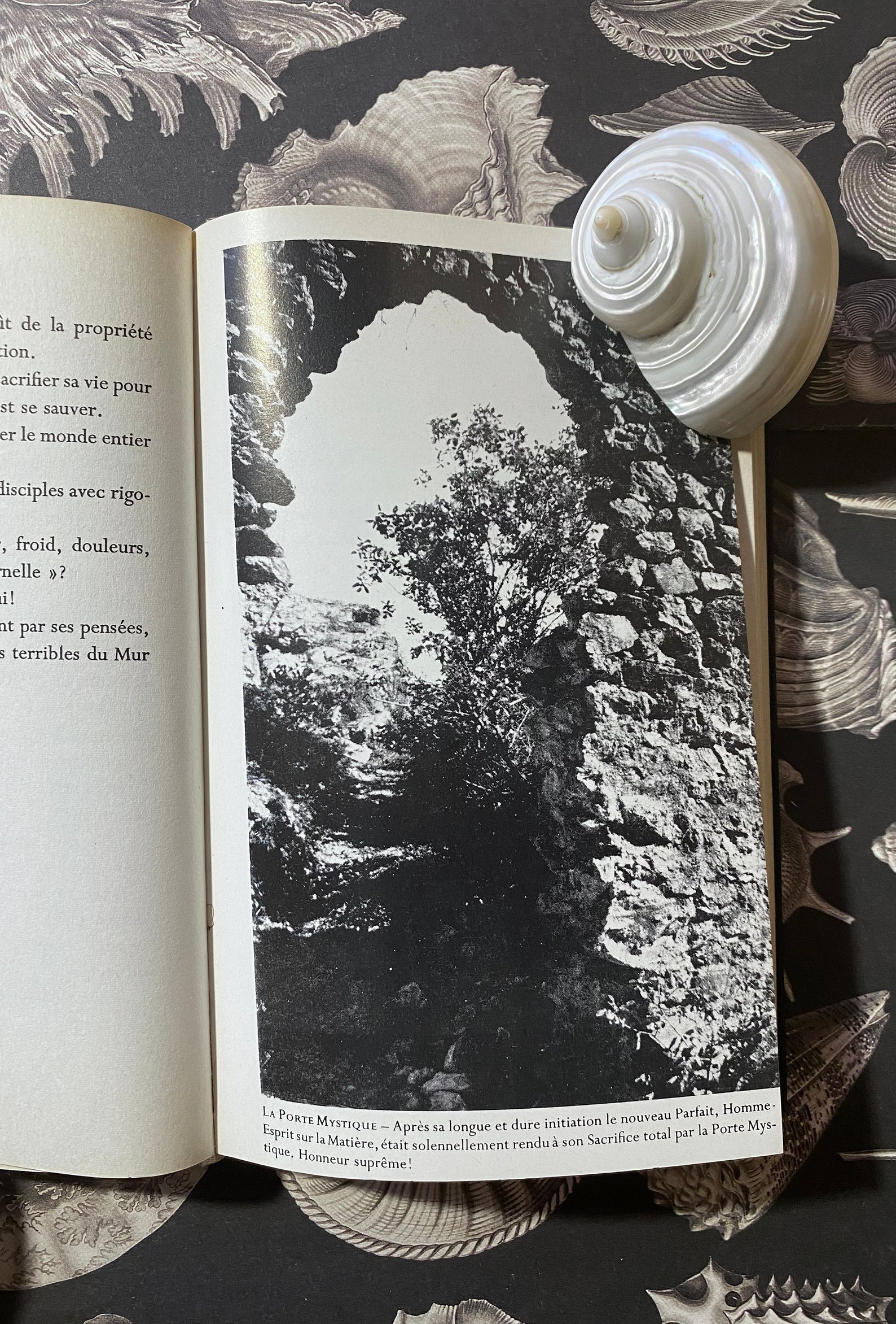 On the Path to the Holy Grail, Antonin Gadal, 1977 - Etsy
