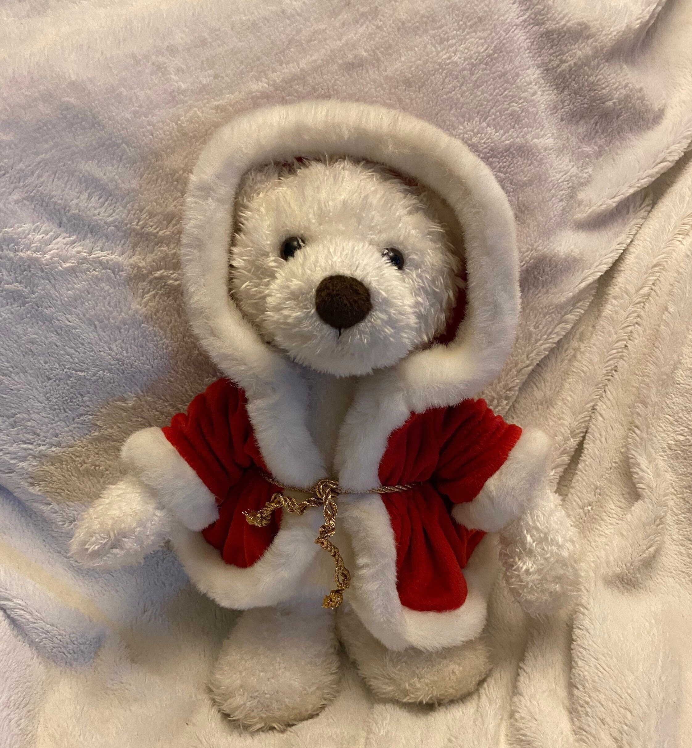 Gund christmas bear store