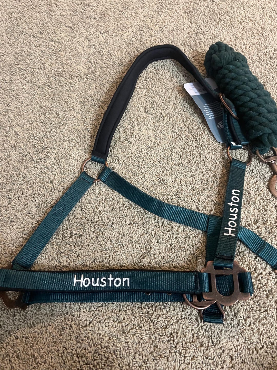 Personalized Padded Horse Halter With Lead Rope - Etsy