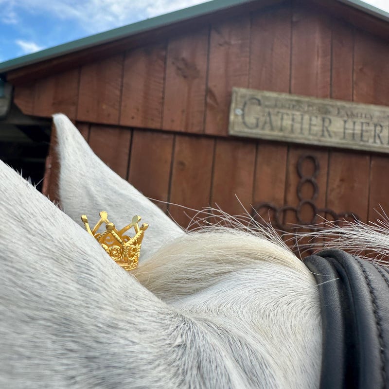 Bridle Crowns for Horses - Etsy